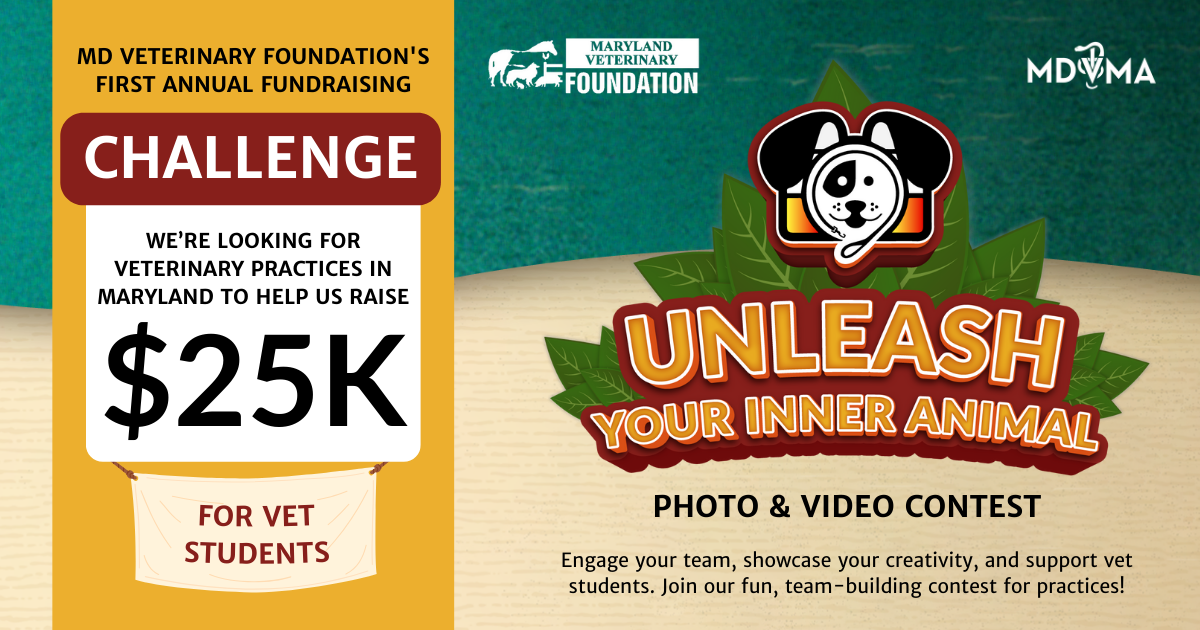 UNLEASH YOUR INNER ANIMAL Contest -"Puppy Love" - Palmer Animal Hospital